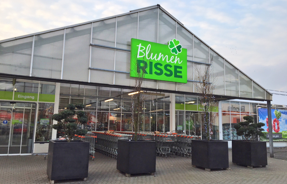 Gartencenter Frechen - Blumen Risse